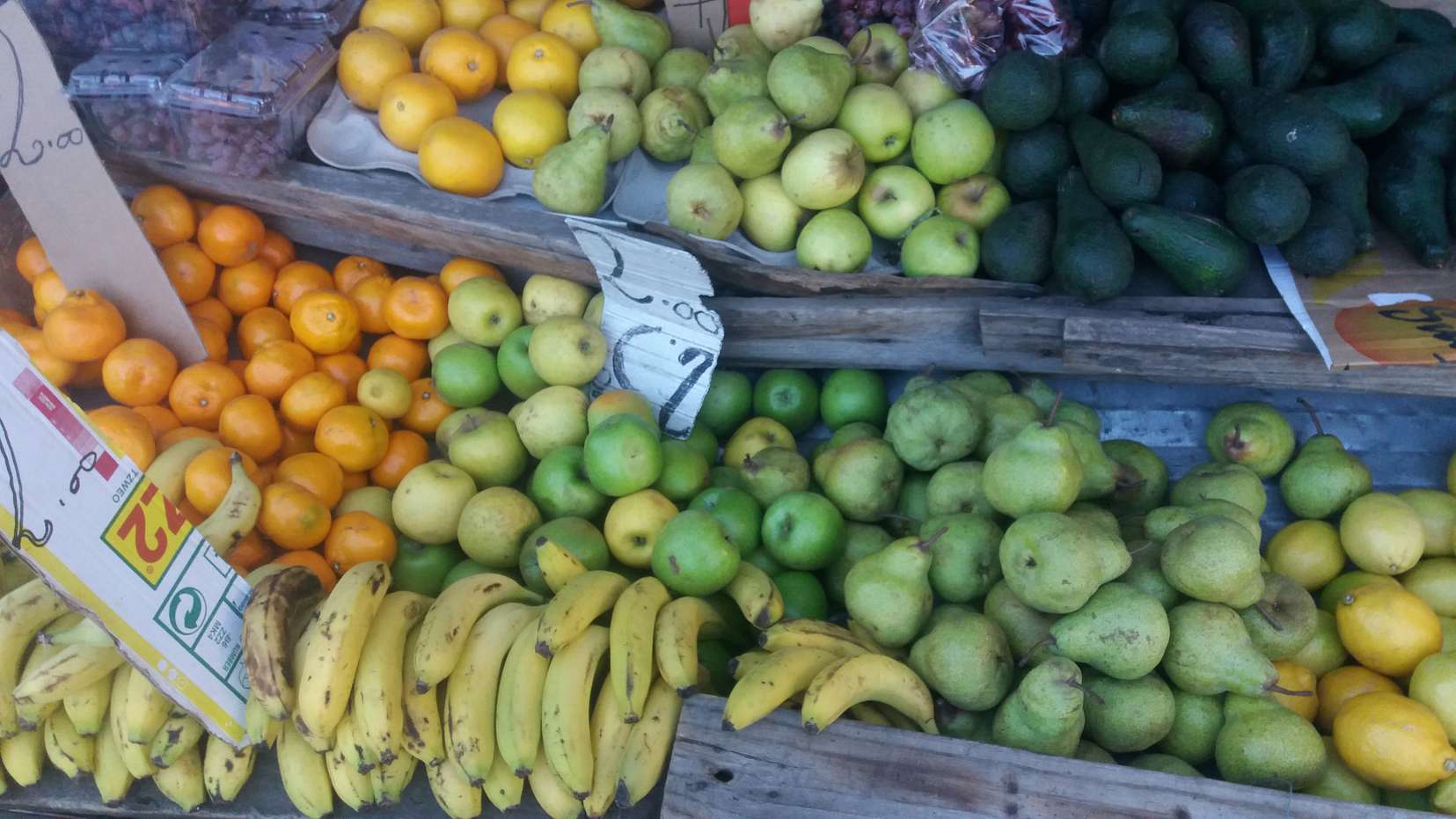 Tips for Ripening your Fruit – LENAFU